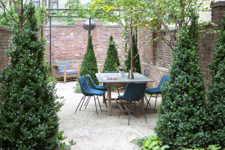 Make Your Garden Beautiful With Columnar Shrubs – The Ultimate Guide